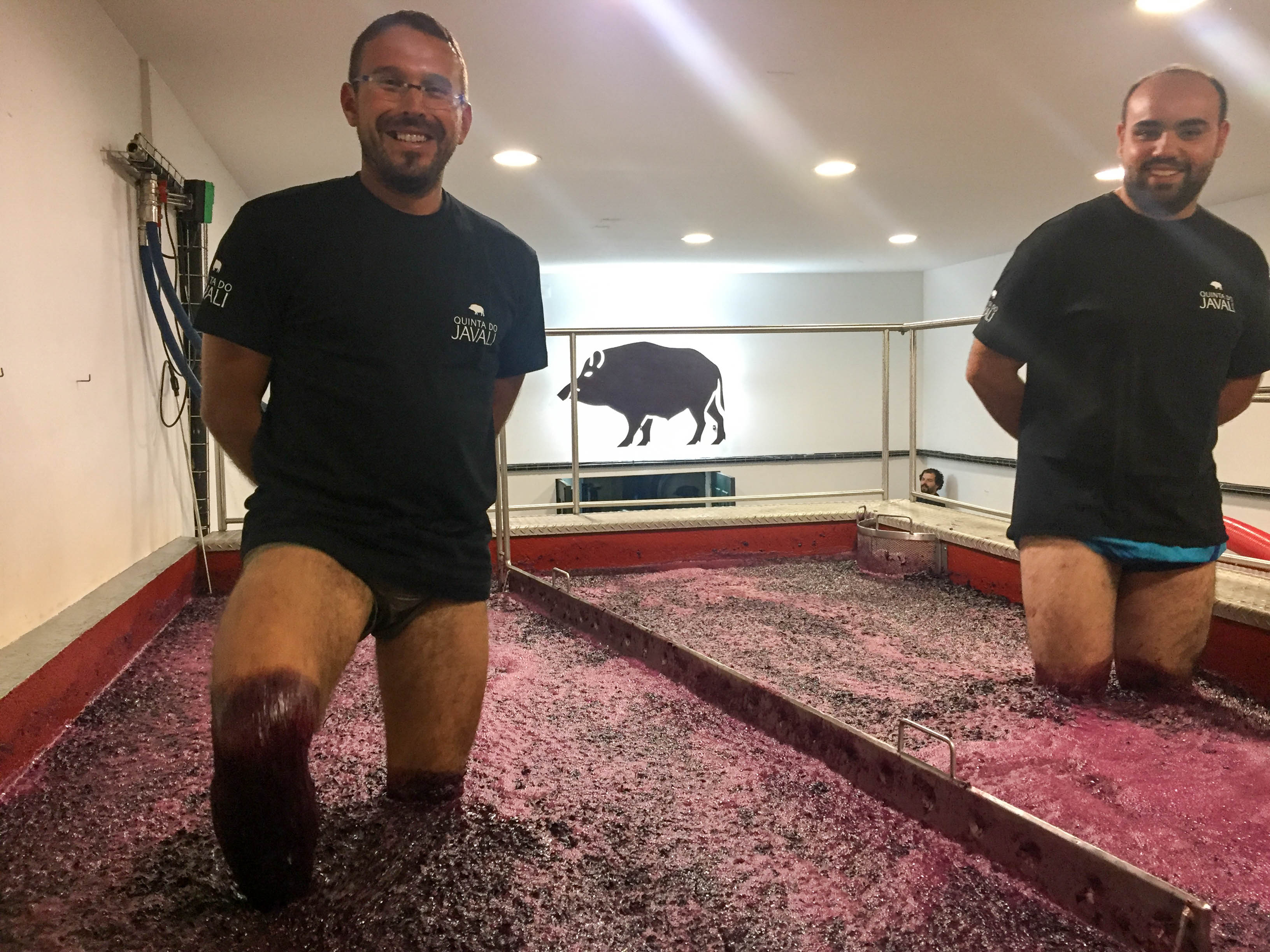 Quinta do Javali | DOC Douro & Port Wine | About us